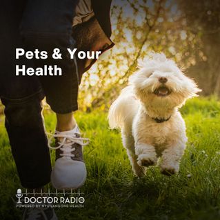 Doctor Radio: Listen to Top Medical Experts | SiriusXM